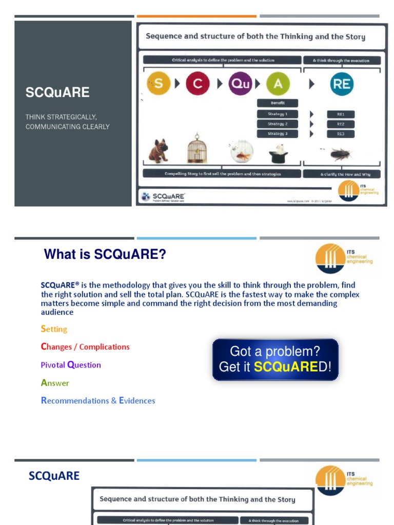 SCQuARE - Pre Read | PDF | Brand | Risk