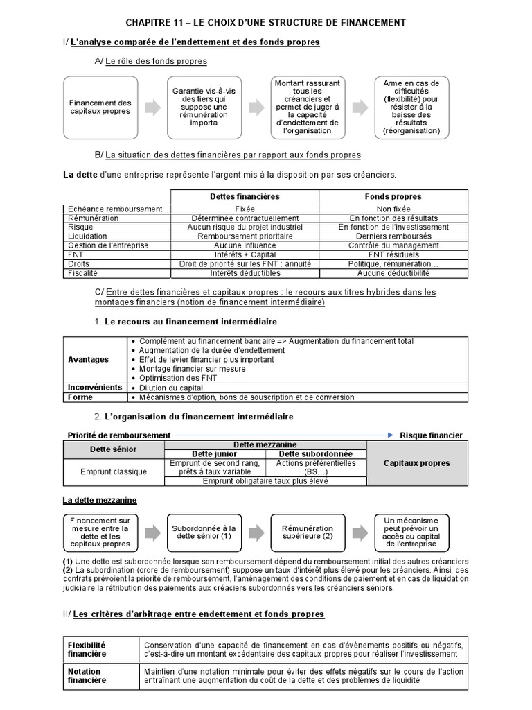 Choix de la Structure de Financement | PDF | Capitaux propres | Dettes