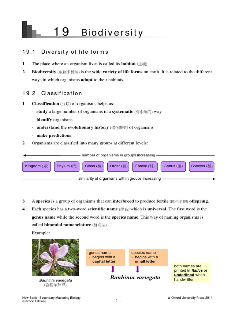 Mastering Biology BK3 Notes | PDF | Leaf | Photosynthesis