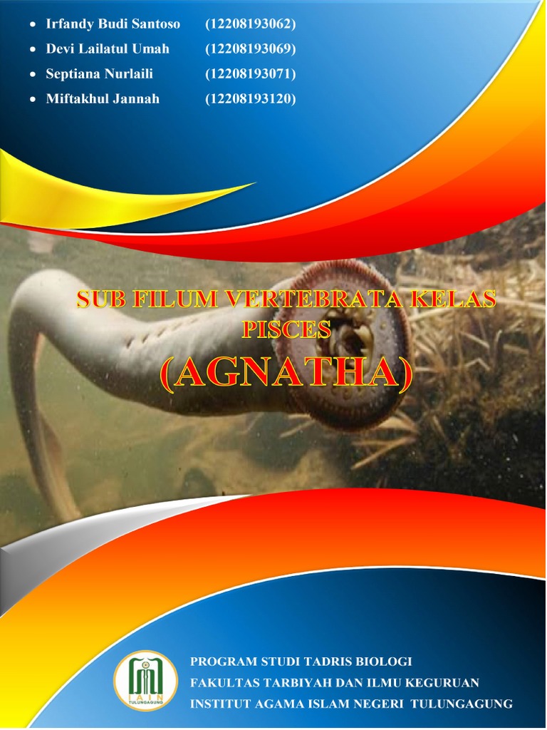 Makalah Kelompok 4 (Agnatha) - 2 | PDF | Kesehatan Holistik | Sains & Matematika