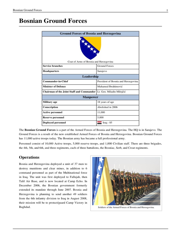 Bosnian Ground Forces | PDF | Projectile Weapons | Military