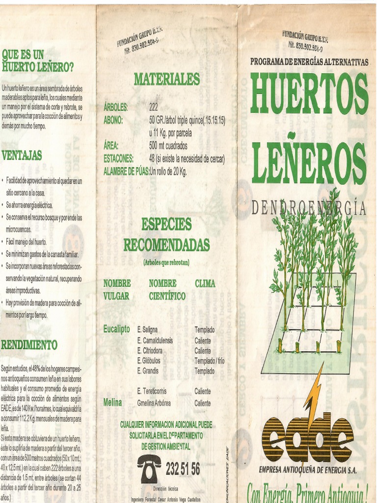 Huertos Leñeros. Programa de Energías Alternativas. Dendroenergía. EADE ...