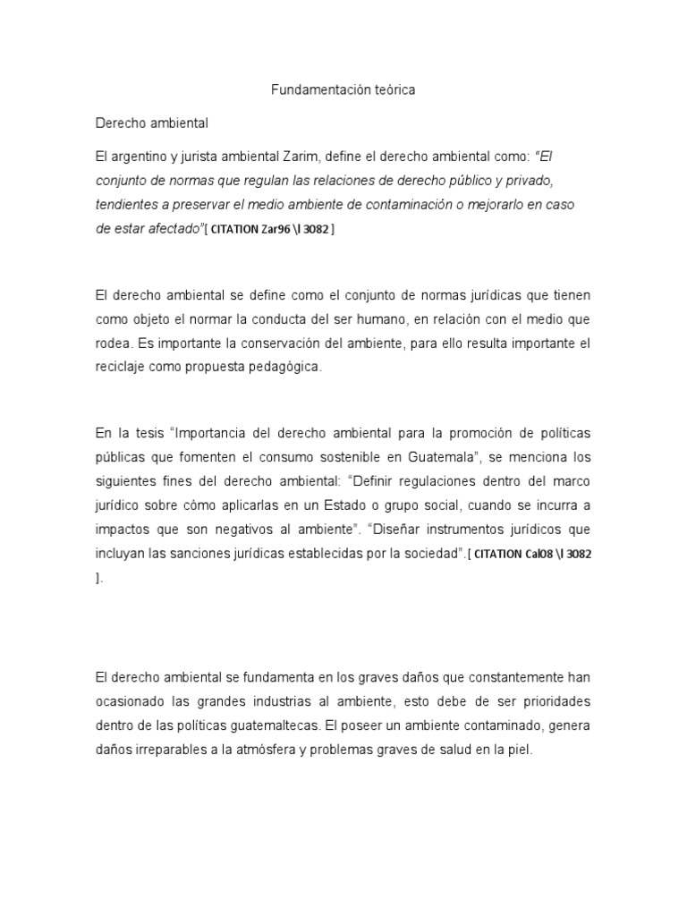 Fundamentación Teórica | PDF | Ciencias sociales