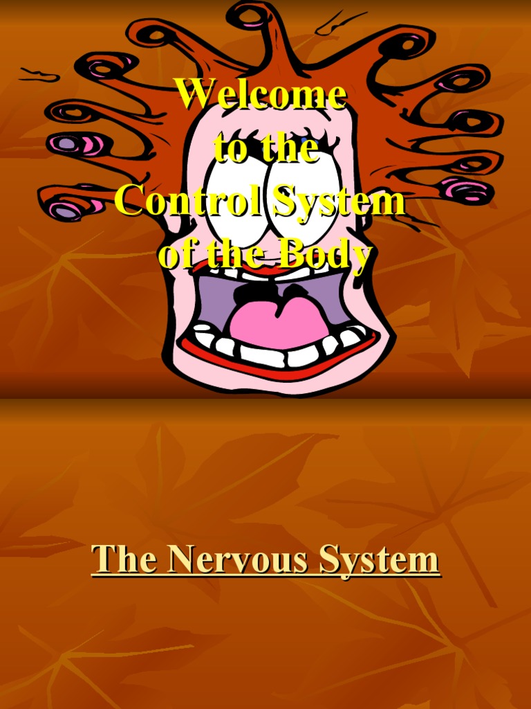 An In-Depth Look at the Structure and Functions of the Human Nervous ...