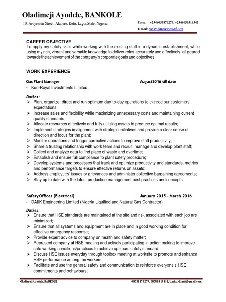 Oladimeji Ayodele Bankole CV | PDF | Occupational Safety And Health | Safety