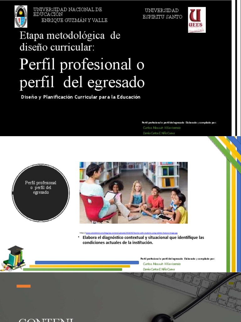 Perfil Profesional o Perfil Del Egresado | PDF | Plan de estudios | Diseño