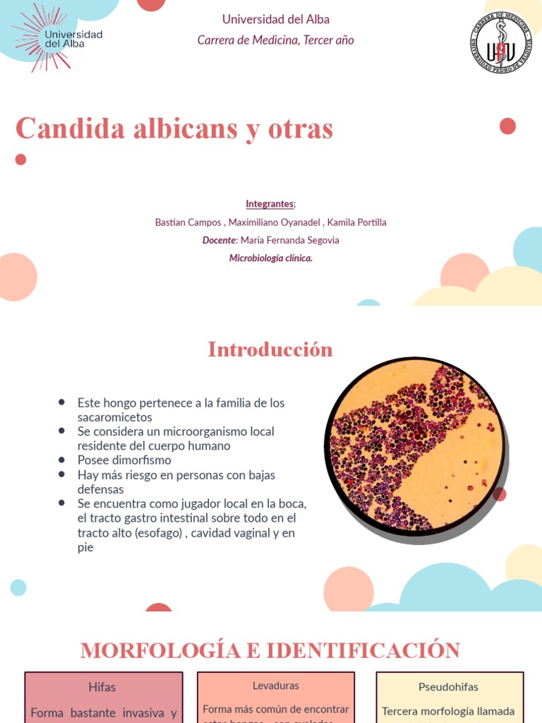 Patogenia y Tratamiento de Candidiasis | PDF | Candidiasis | Candida ...
