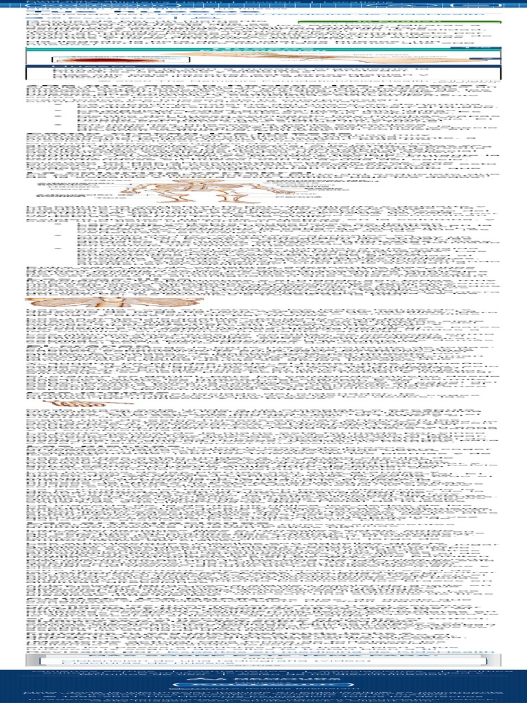 Tus Huesos Para Niños Nemours Kidshealth Pdf Vértebra