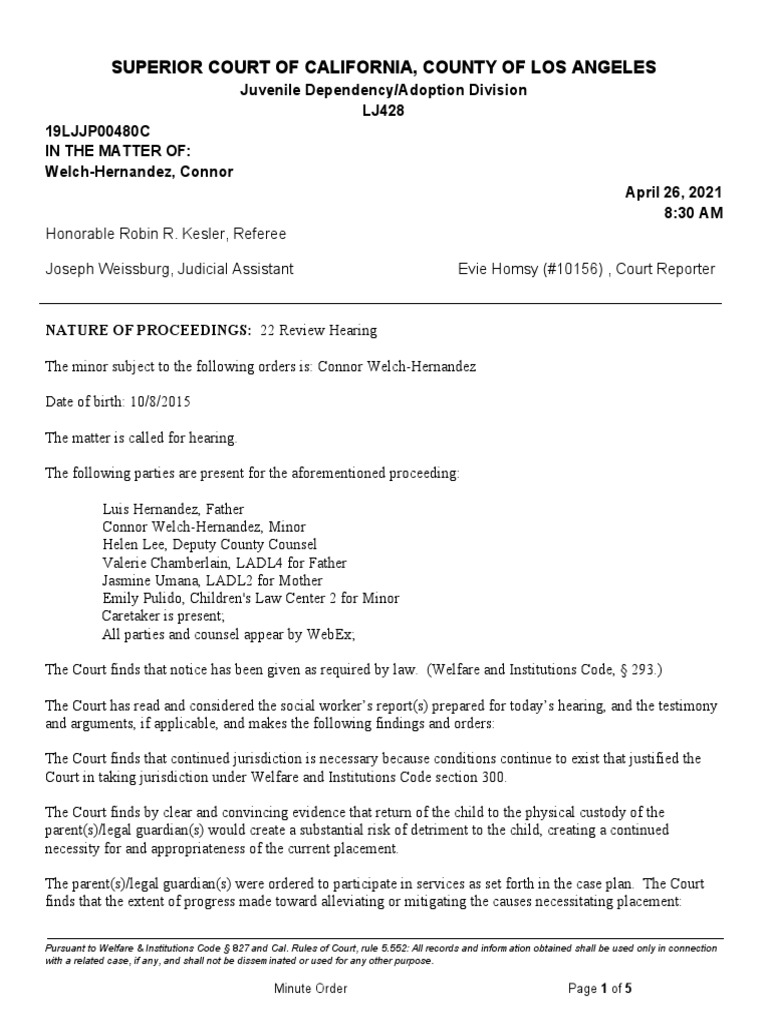 Minute Order Brooke Welch | PDF | Legal Guardian | Child Protective ...