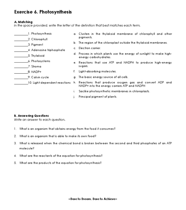 Exercise 6. Photosynthesis: A. Matching | PDF