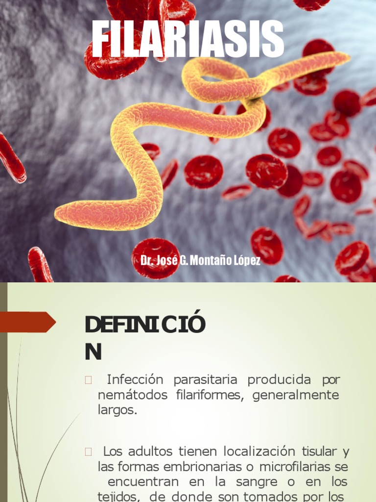 1 Filariasis | PDF | Enfermedades y trastornos | Especialidades Medicas