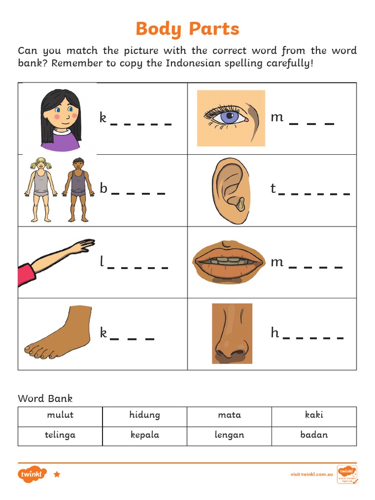 Au MFL 2548556 My Body Differentiated Worksheets Indonesian - Ver - 4 | PDF