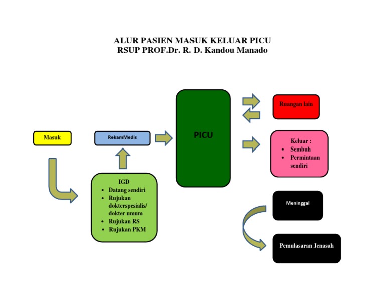 Alur Masuk Dan Keluar Pasien Picu | PDF