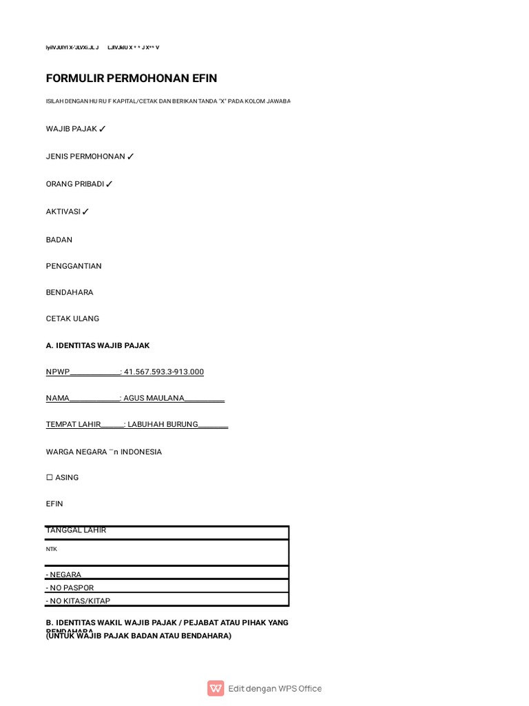 Formulir Permohonan EFIN | PDF