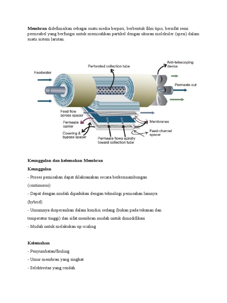 Keunggulan dan Kelemahan Membran Semi Permeabel | PDF | Sains ...