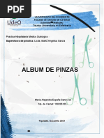 Pinzas de Backhaus en Cirugía: Uso y Función | PDF