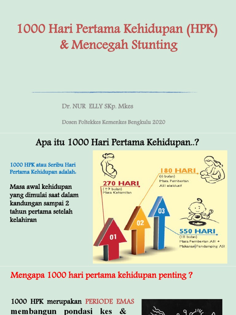1000 HPK & Stunting | PDF