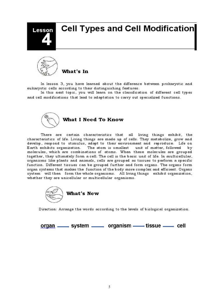 Cell Types and Cell Modification: Lesson | PDF | Tissue (Biology ...