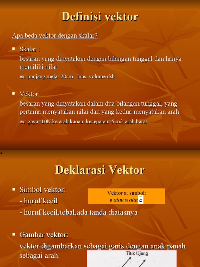 Definisi dan Visualisasi Vektor | PDF