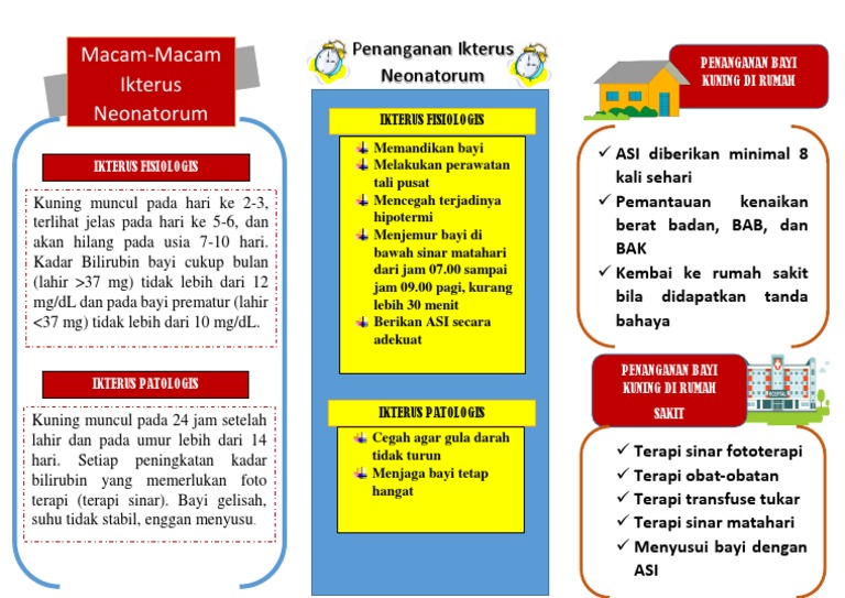 Bayi Kuning Leaflet Dinar 2 PDF | PDF