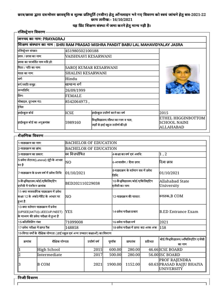 Summary Report of Scholarship | PDF