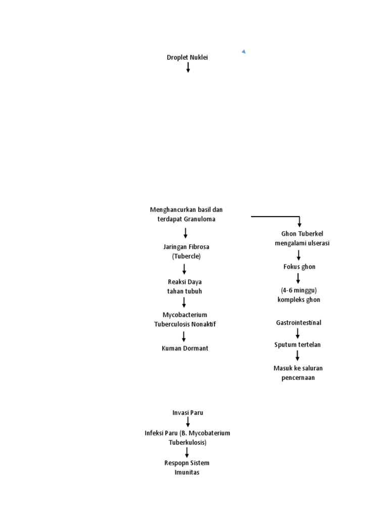 Pathway Tuberkulosis Paru pada Anak | PDF