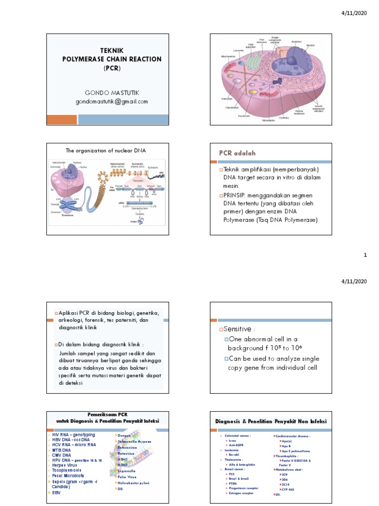 Teknik PCR | PDF