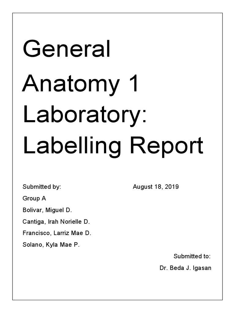 General Anatomy 1 Laboratory: Labelling Report | PDF | Elbow | Arm