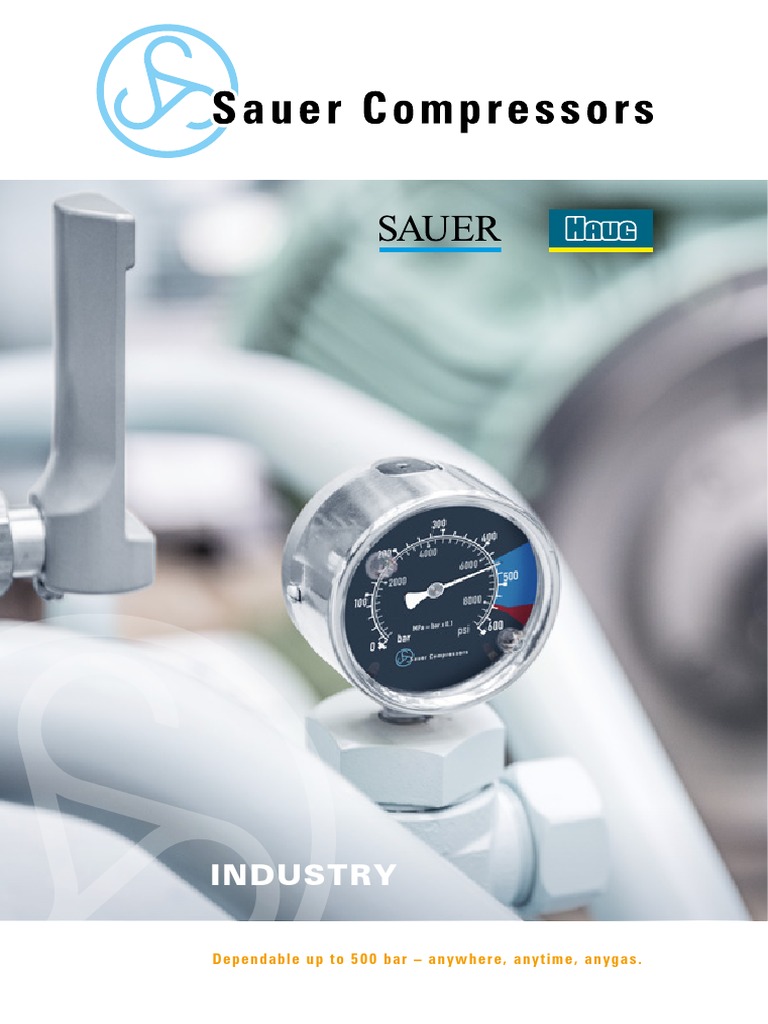 Sauer General Industry Global en 2020 Web | PDF | Large Hadron Collider ...