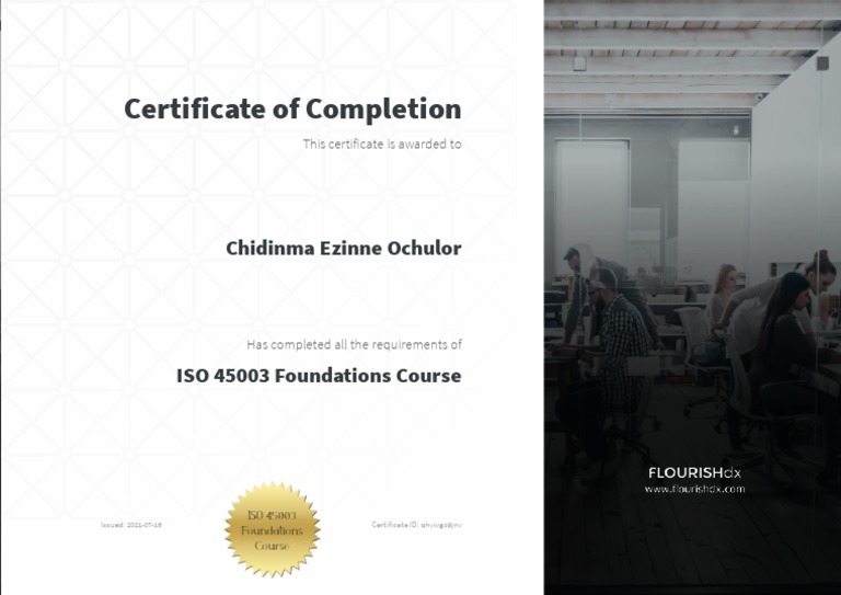 ISO 45003 Foundations Course | PDF