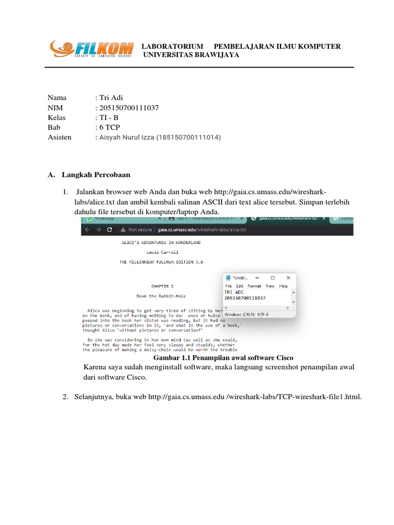 Tri Adi - BAB6 | PDF