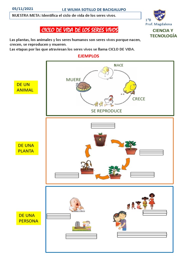 Ciclo de Vida de Seres Vivos | PDF