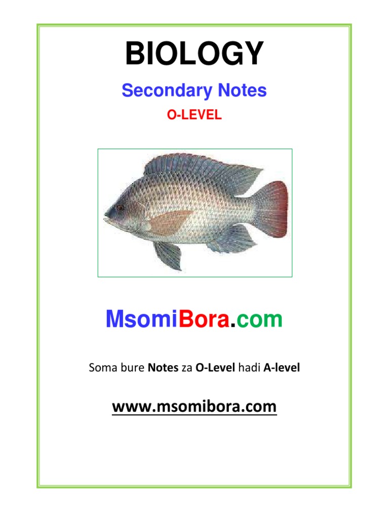 Biology O-Level Notes | PDF | Digestion | Gastrointestinal Tract