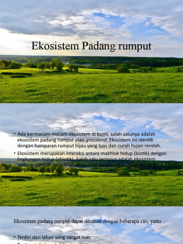 Tugas Biologi Ekosistem Padang Rumput | PDF