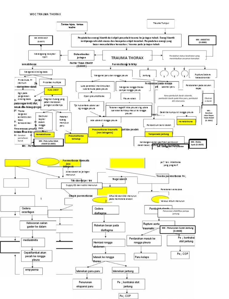 WOC Trauma Thorax | PDF
