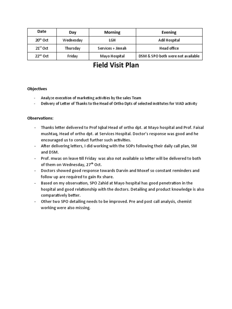 Field Visit Plan: Date Day Morning Evening | PDF