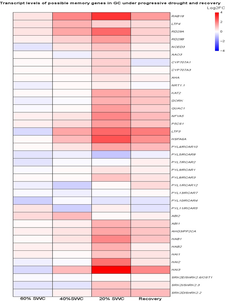 R Graphics Output - Heatmap Inkscape2 | PDF | Molecular Biology | Genetics