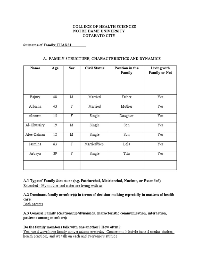 Family Assessment Form | PDF | Toilet | Foods