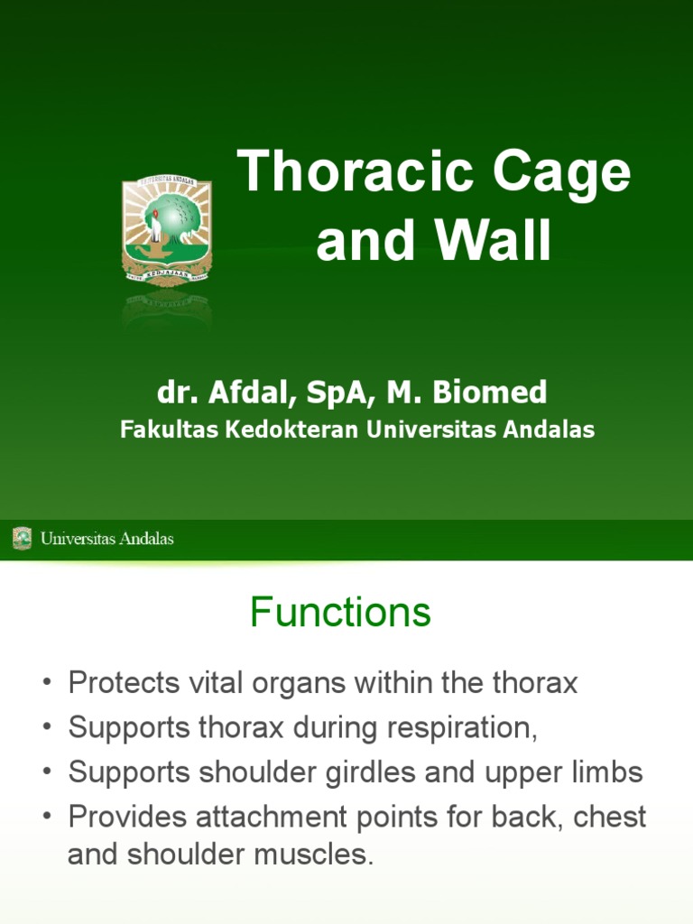 Thoracic Cage and Wall: Dr. Afdal, Spa, M. Biomed | PDF | Thorax | Vertebra
