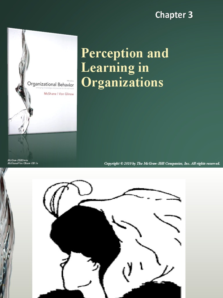 Perception and Learning in Organizations: Mcgraw-Hill/Irwin Mcshane/Von ...