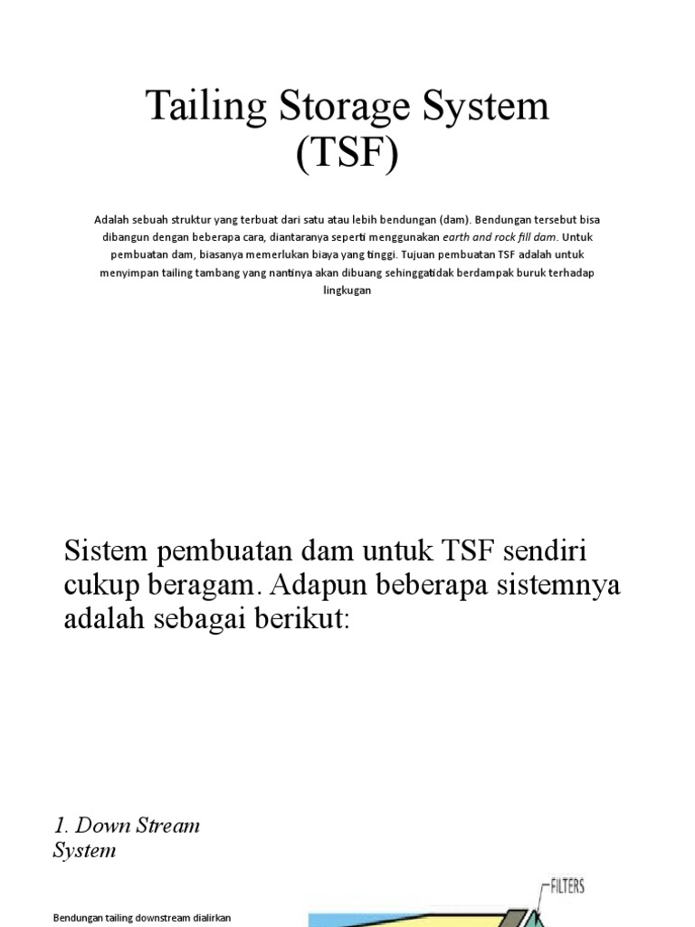 Tailing Storage System (TSF) | PDF