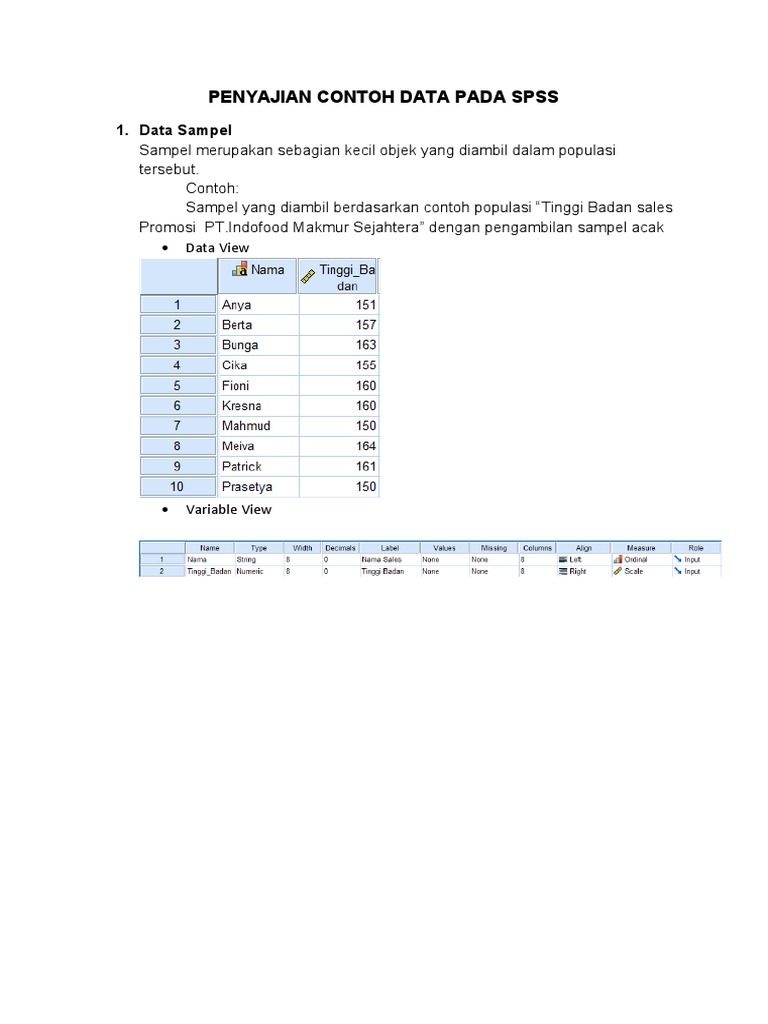 Contoh Data Sampel Dan Populasi | PDF