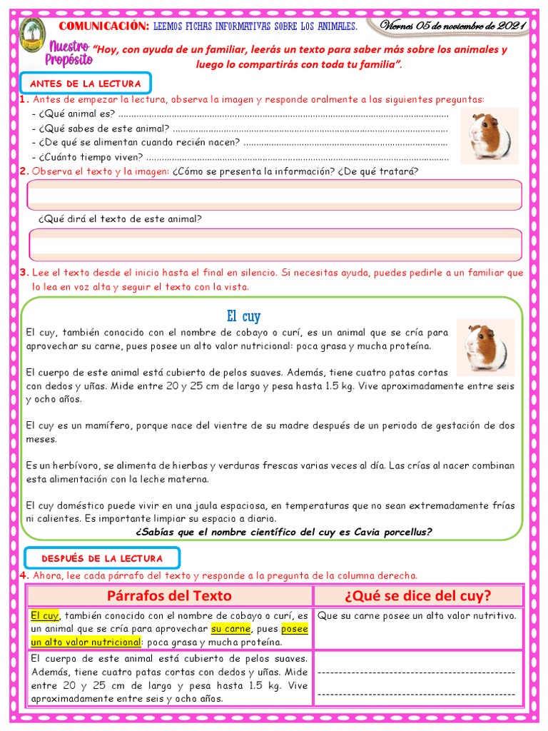 Leemos Fichas Informativas Sobre Los Animales | PDF | Conejillo de ...