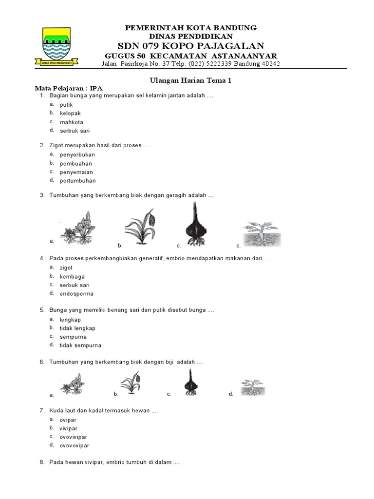 03 PH IPA Tema 1 | PDF | Sains & Matematika