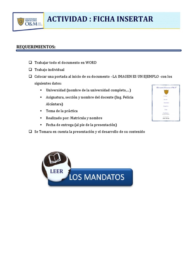 Actividad Ficha Insertar | PDF | Informática | Software