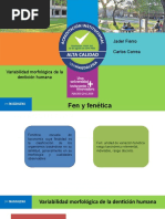 Cíngulo Dental: Revisión y Funciones | PDF | Boca | Odontología