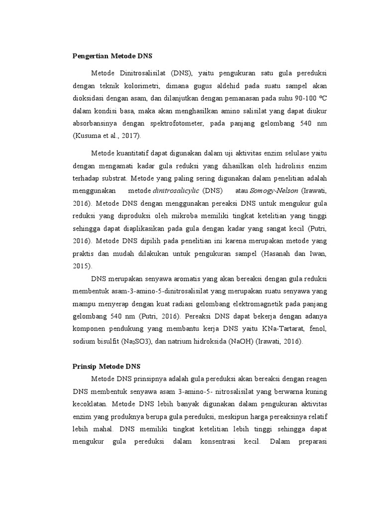 Pengertian Metode DNS | PDF