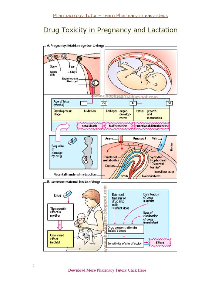 Drug Toxicity in Pregnancy and Lactation | PDF | Placenta | Pregnancy