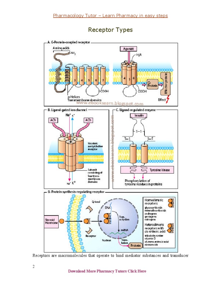 Receptor Types | Hormone | Receptor (Biochemistry)