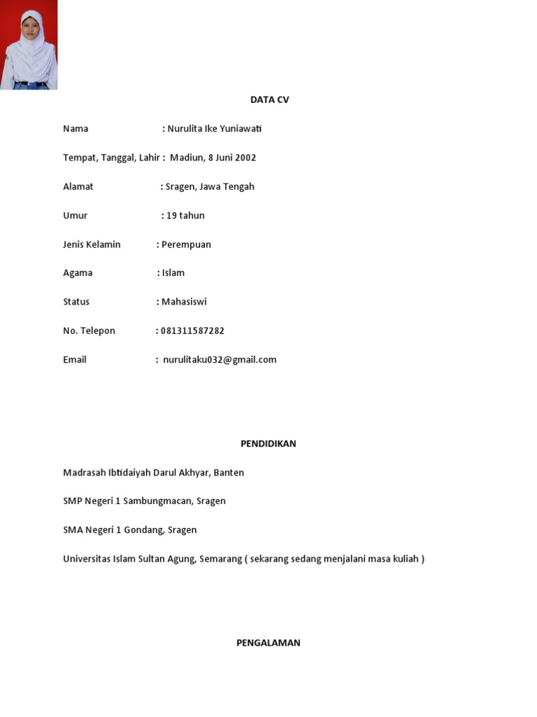 Data CV (Nurulita) | PDF